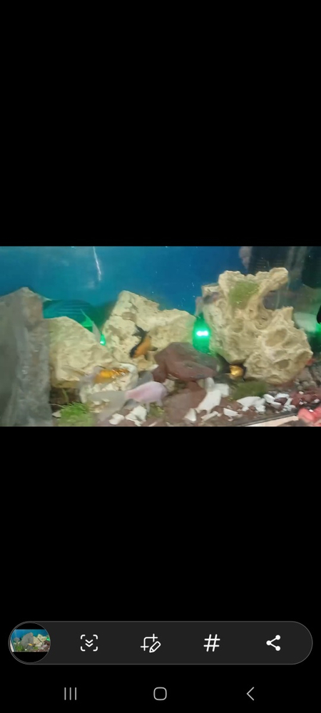 AQUAFISh (akvarium yasash)