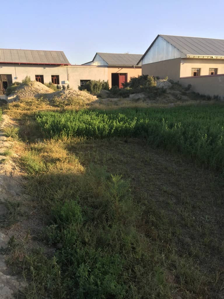 Uy joy uchun uchaska yer sotiladi Samarqant viloyati Kattaqurgon