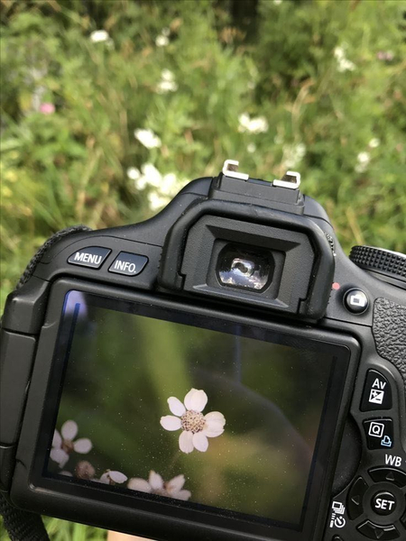 Фотограф, съемка, монтаж, ретушь на выезд