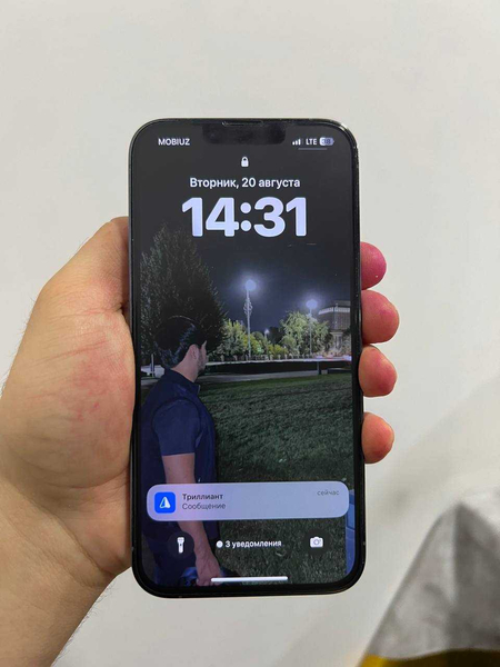 Iphone 13 pro ideal