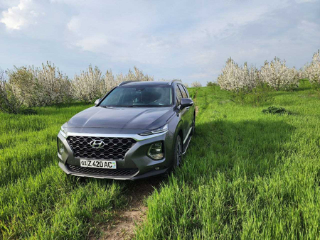 Hyundai Santa-fe 2020г Full