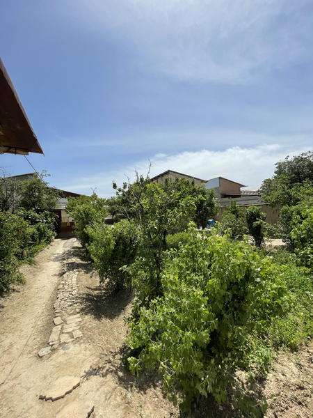 hovli soatiladi