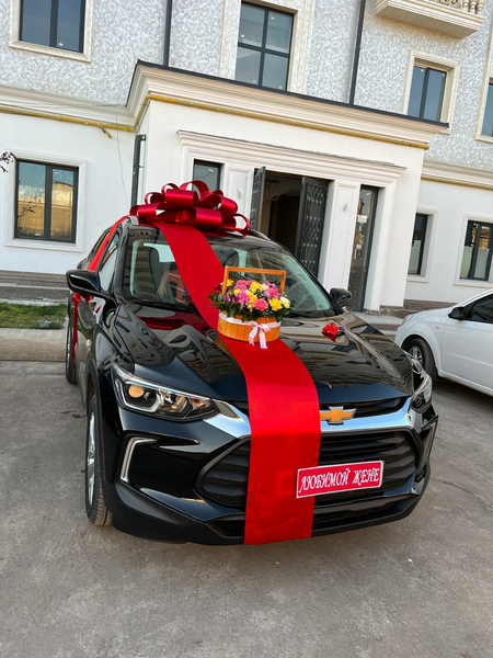 Бантик, бант  для вашей машины Avtobantik,Lenta,Bantik
