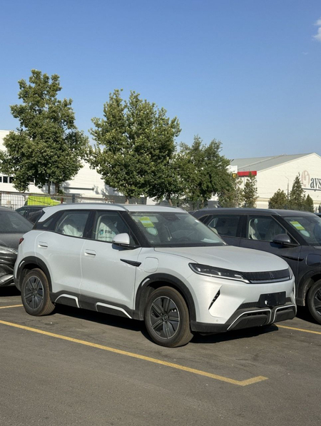BYD Yuan Up dop opsiya 2024