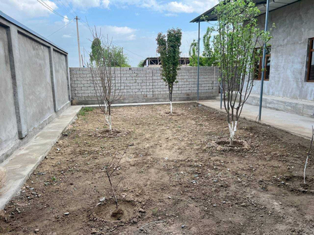 Янгиҳаёт тумани, Чортоқ маҳалласида
3,2 сотих, 4 хона+ошхона,огород
