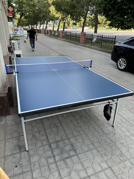 Настольный Теннис