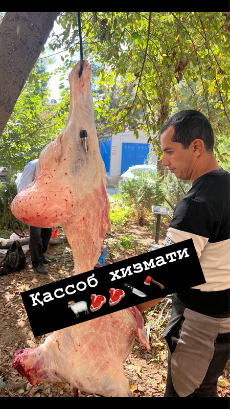 Ақиқа‼️ва Эҳсонга қўйлар, қассоб, калла поча