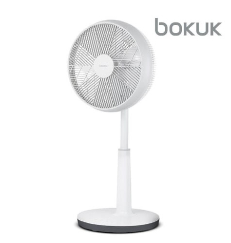 Вентилятор с пультом Кореский Bokuk