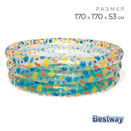 Бассейн надувной , 170 х 53 см, от 6 лет, 51048 Bestway