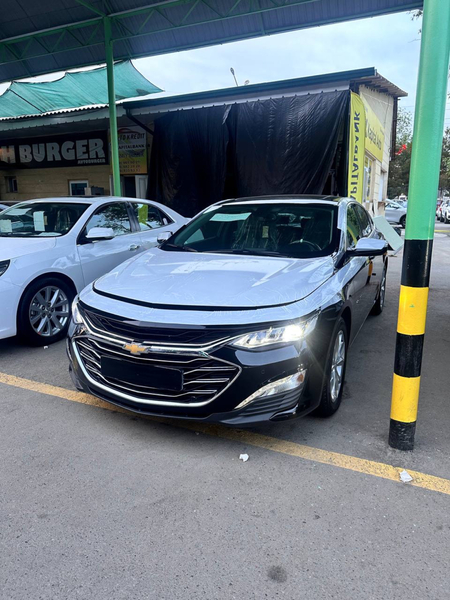 Malibu premer 2022 yil toza