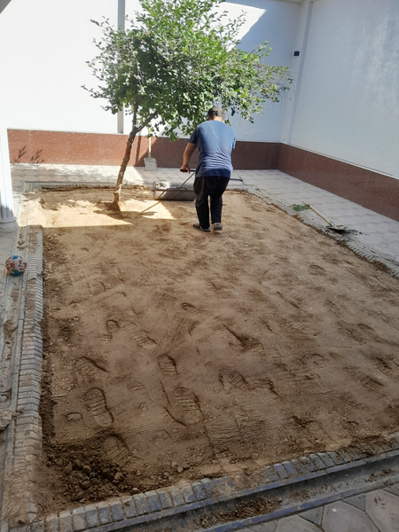 Sifatli gazon ekamiz