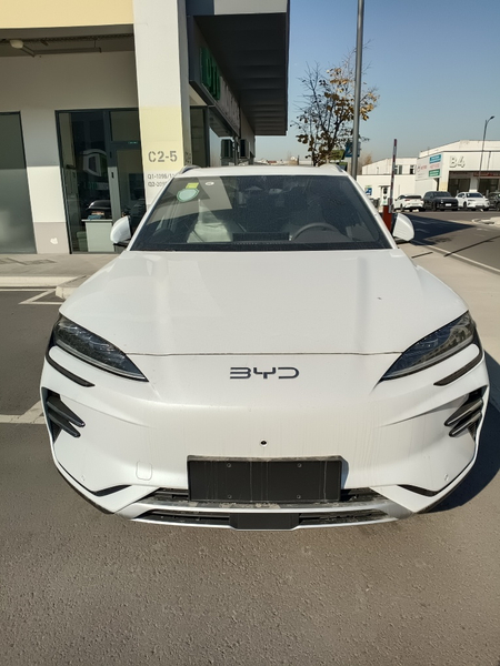 BYD CHEMPION 2025Restailing