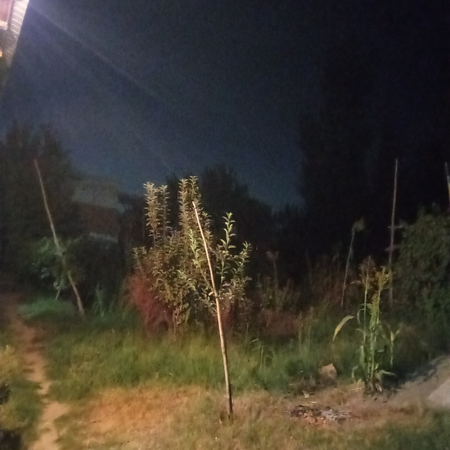 Uy sotladi tayor yashab turlgan
