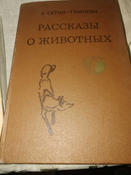Школьный толковый словарь русского языка