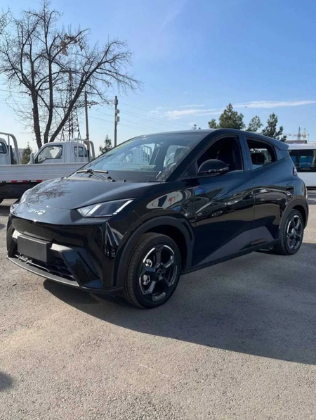 Byd segul sotiladi