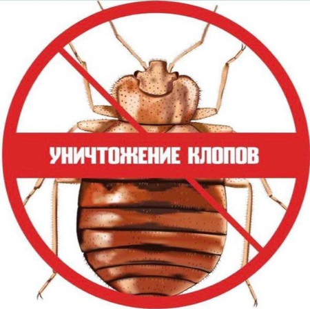 Дезенфекция дизенфекция дезинфекция дизинфекция dizinfeksiya