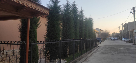 Archa Kesiw xizmati