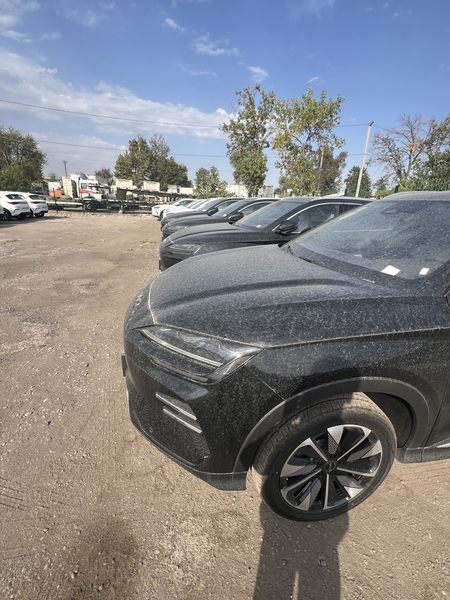BYD Chempion 2025 restyling 605