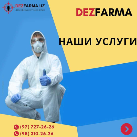 Дезинфекция от клопов, тараканов, и д.р