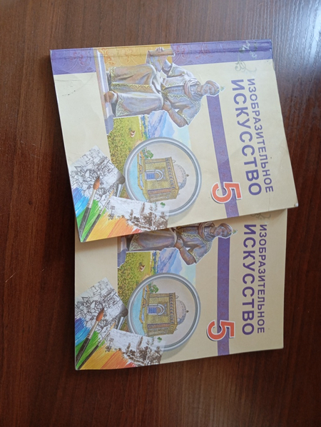 Книга 5 класса состояние хороше (две книги)+обложкае подарка