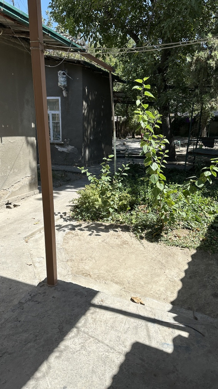 Продаётся дом на две семьи в центре Самарканда!ор-р 2роддом