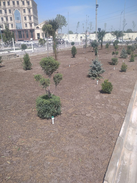 Gul gazon lanshaf dizzayin