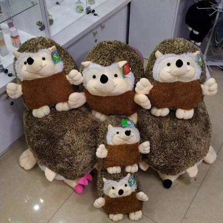 Teddy ayiqlari va yumshoq oyinchoqlar