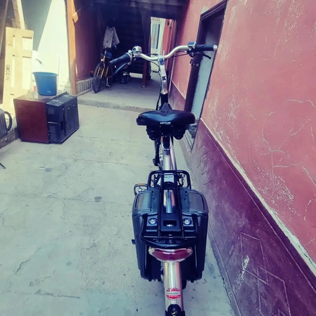Gollandiya elektrovelosipedi IDEAL holatda