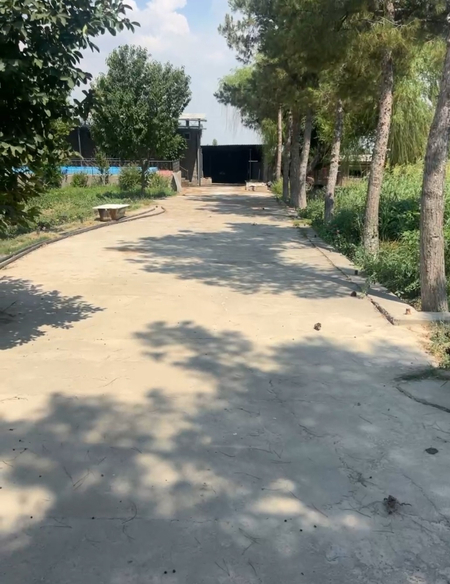 Ферма в пискенте 70 сотак + 30