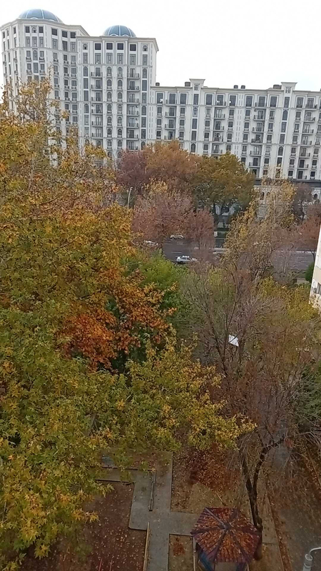 Сдам комнату (1 хона)в центре,недорого