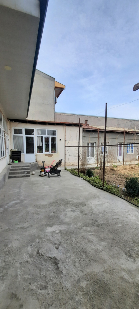 Дурмень цен.6с.6хона.