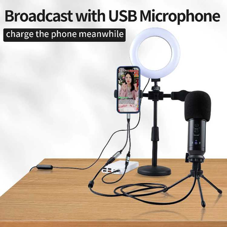 Переходник для телефона Type C и iPhone   Charger+Audio