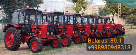 Traktor Belarus, 80.1