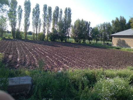 Yer sotiladi 10 sotix