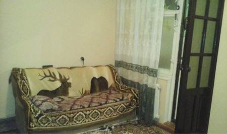 N1466 Olmazor tumani Beshqorgon-3.  1/3/5