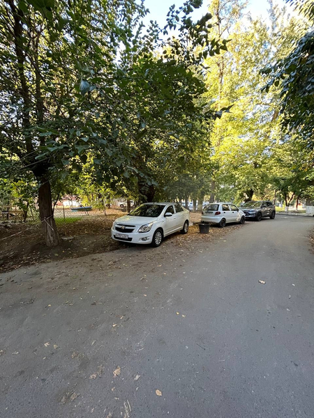 Эко базар парк локомотив