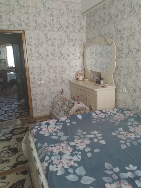 mehmon oilalar va turistlar, musofirlar