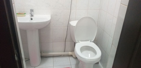 Аренда бор  сампи селхоз ёнида