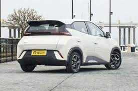 BYD SEAGUL 405km arenda s vikupom godovoy 14%