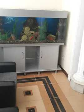 Офис в цуме сдаётся 56м²