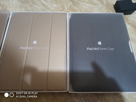 iPad air 2 smart case