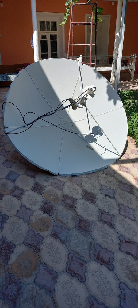 Barabalka  antena         .