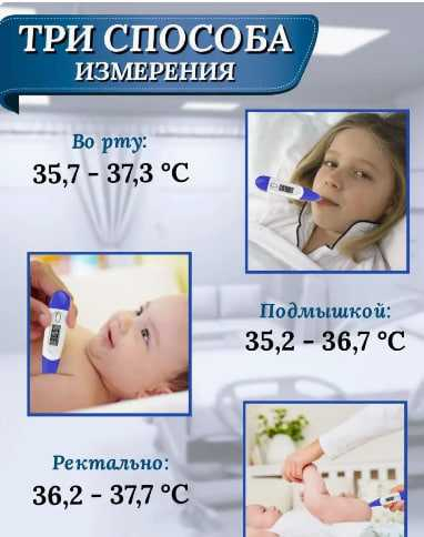 Термометр электронный, градусник Berotherm, Германия