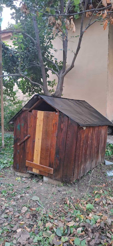 Будка для собак капитальная