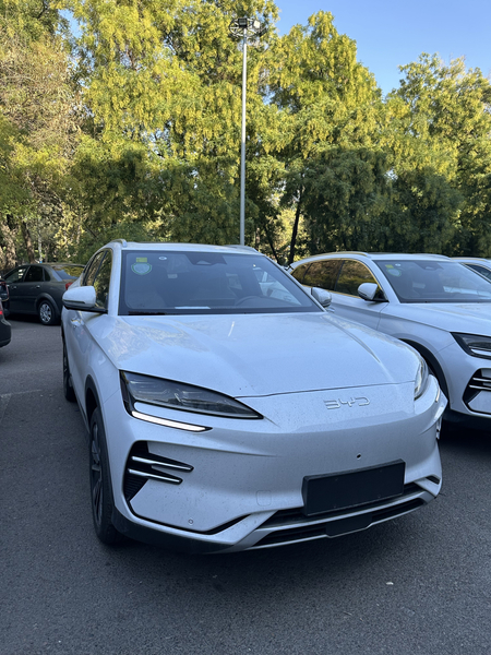 Byd Chempion 2025 rest