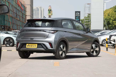 BYD Dolphins 3 xil bor 1ta passport evaziga beriladi