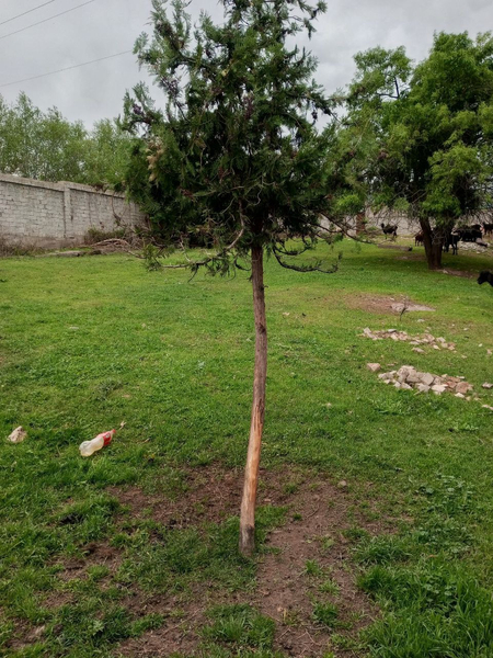 Бустонлигда дала ховли учун таёр йер майдони