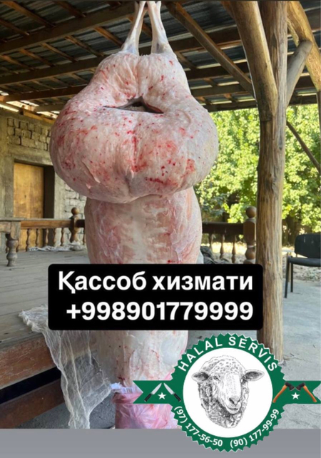 Тирик қўй, қассоб калла поча, хасип.