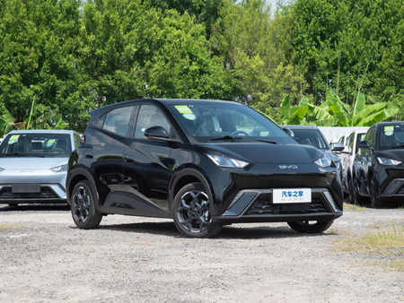 BYD Sigel sotiladi
