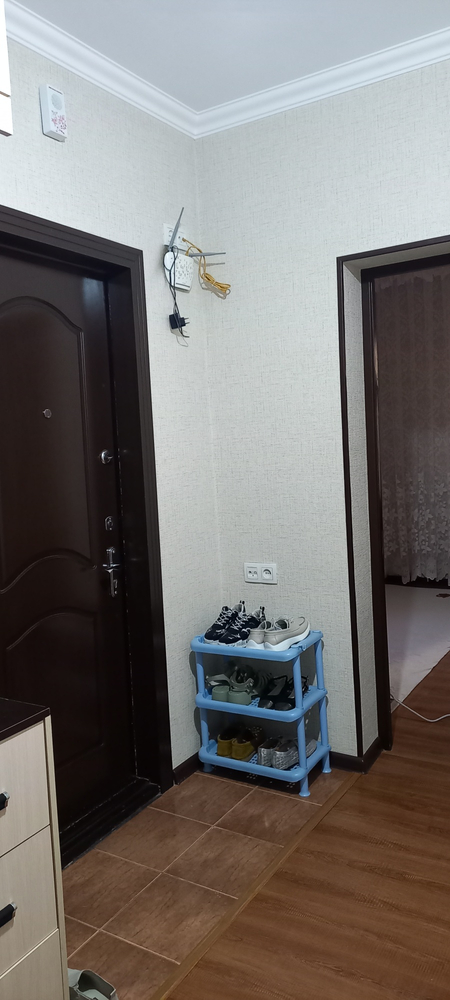 Куйлюк корзинка стройбазар куйлюк 3/2/9